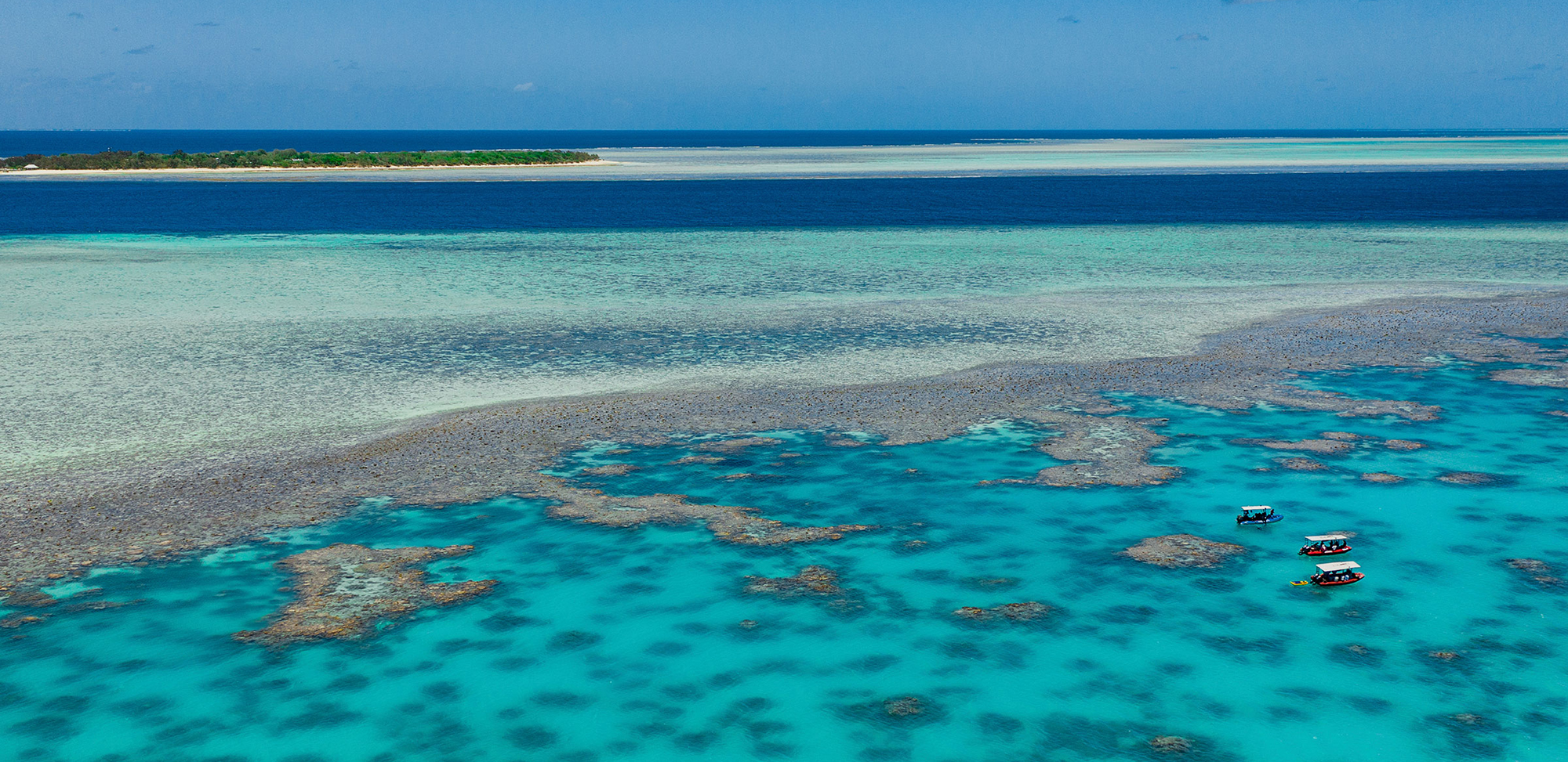 Restoring the Reef - Southern Cross University