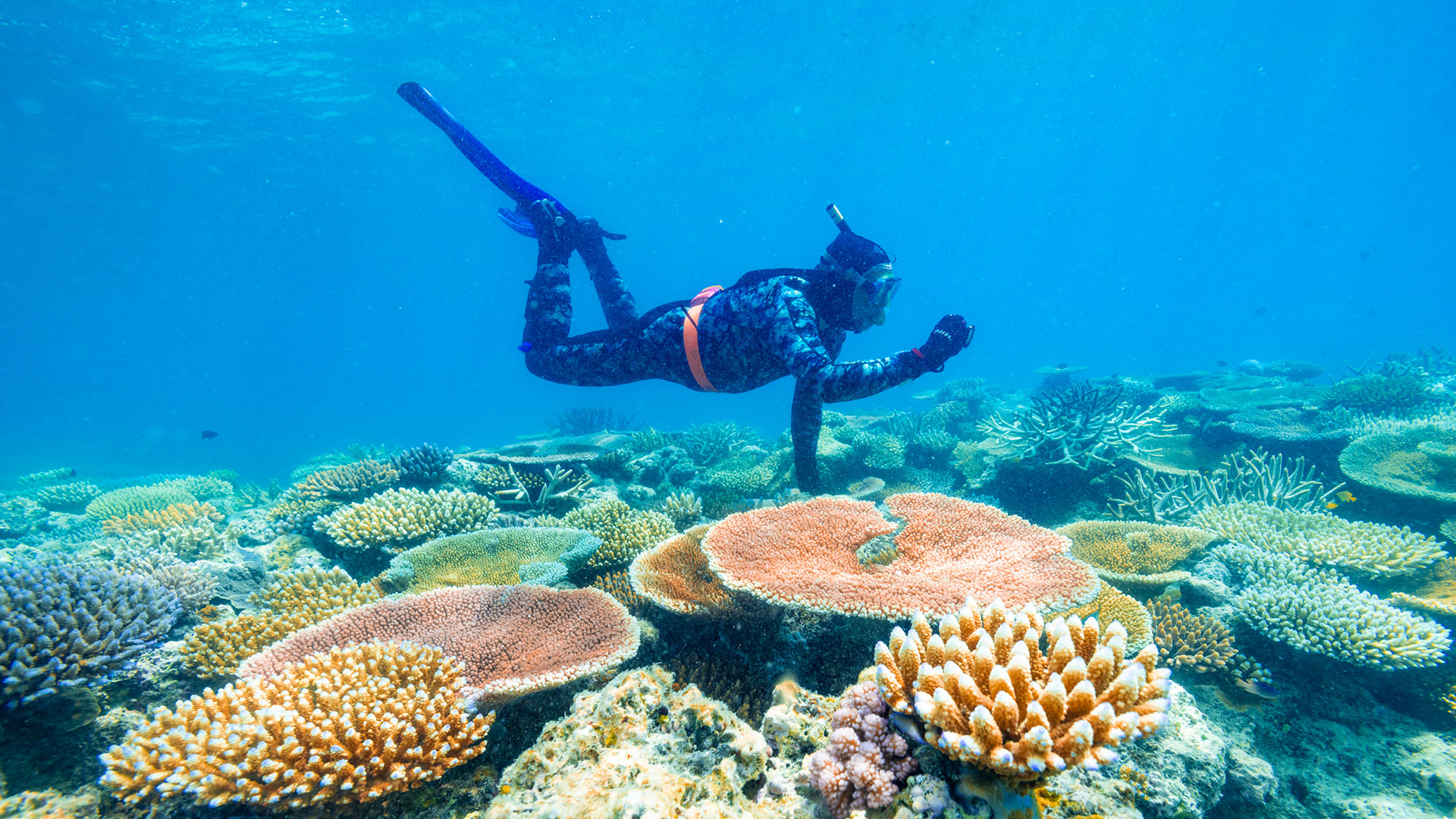 Marine Science research - Southern Cross University