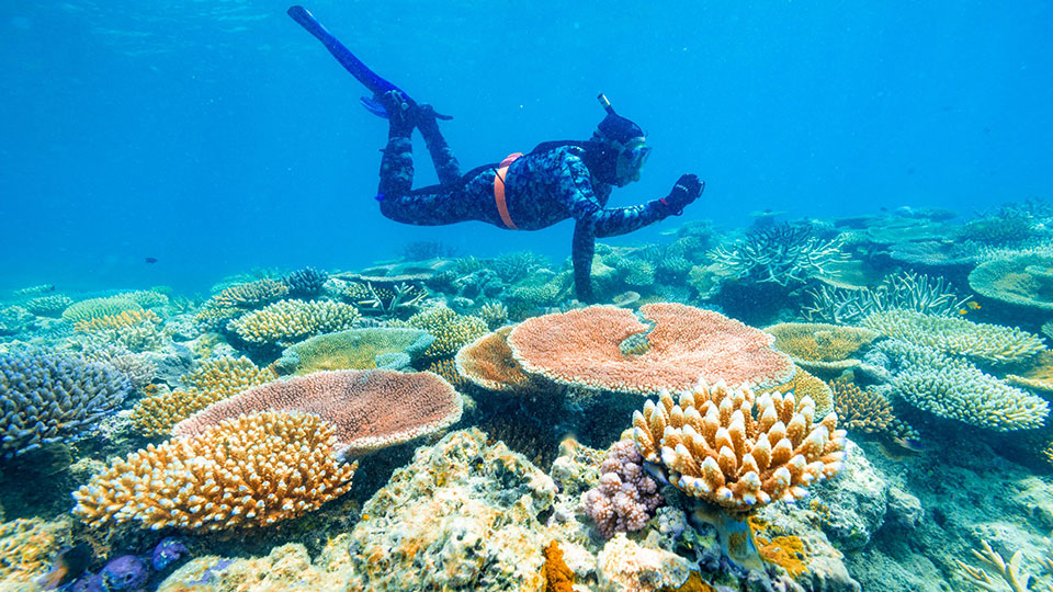 Doctor of Philosophy (PhD) - Graduate School - SCU - Southern Cross ...