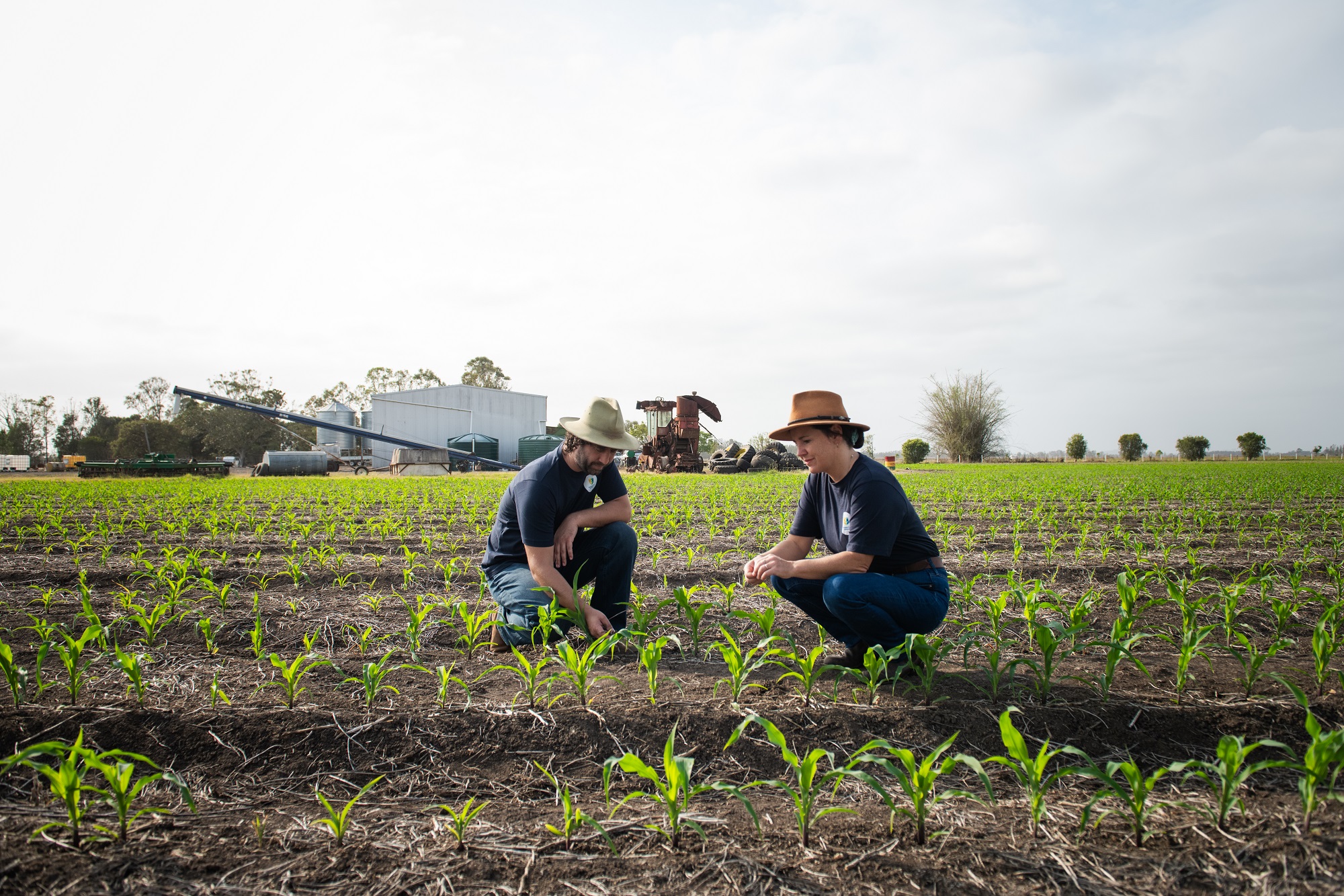 Growers needed for regenerative agriculture research - Southern Cross ...