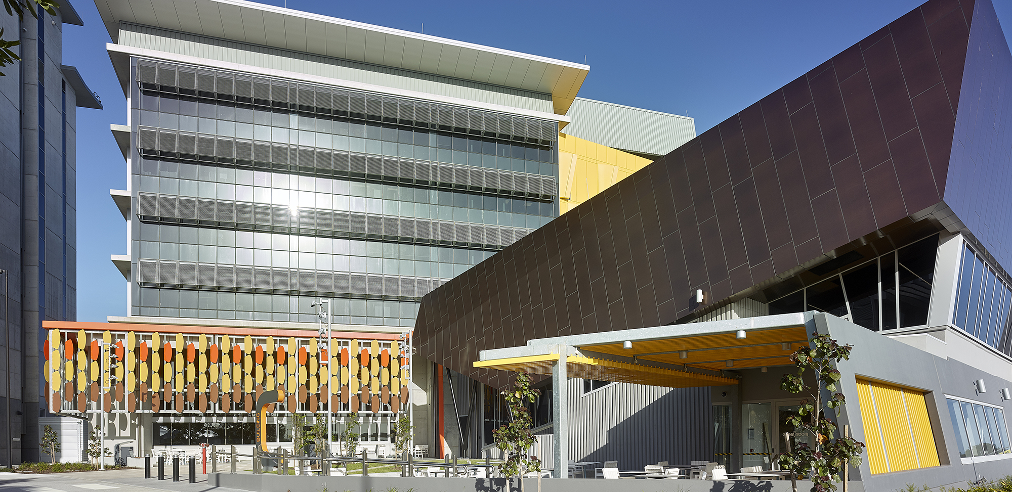 ARC College of Experts - Southern Cross University