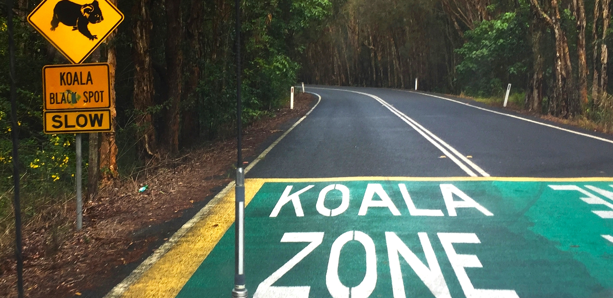 Travel guide to Australia’s wildlife crossings - Southern Cross University