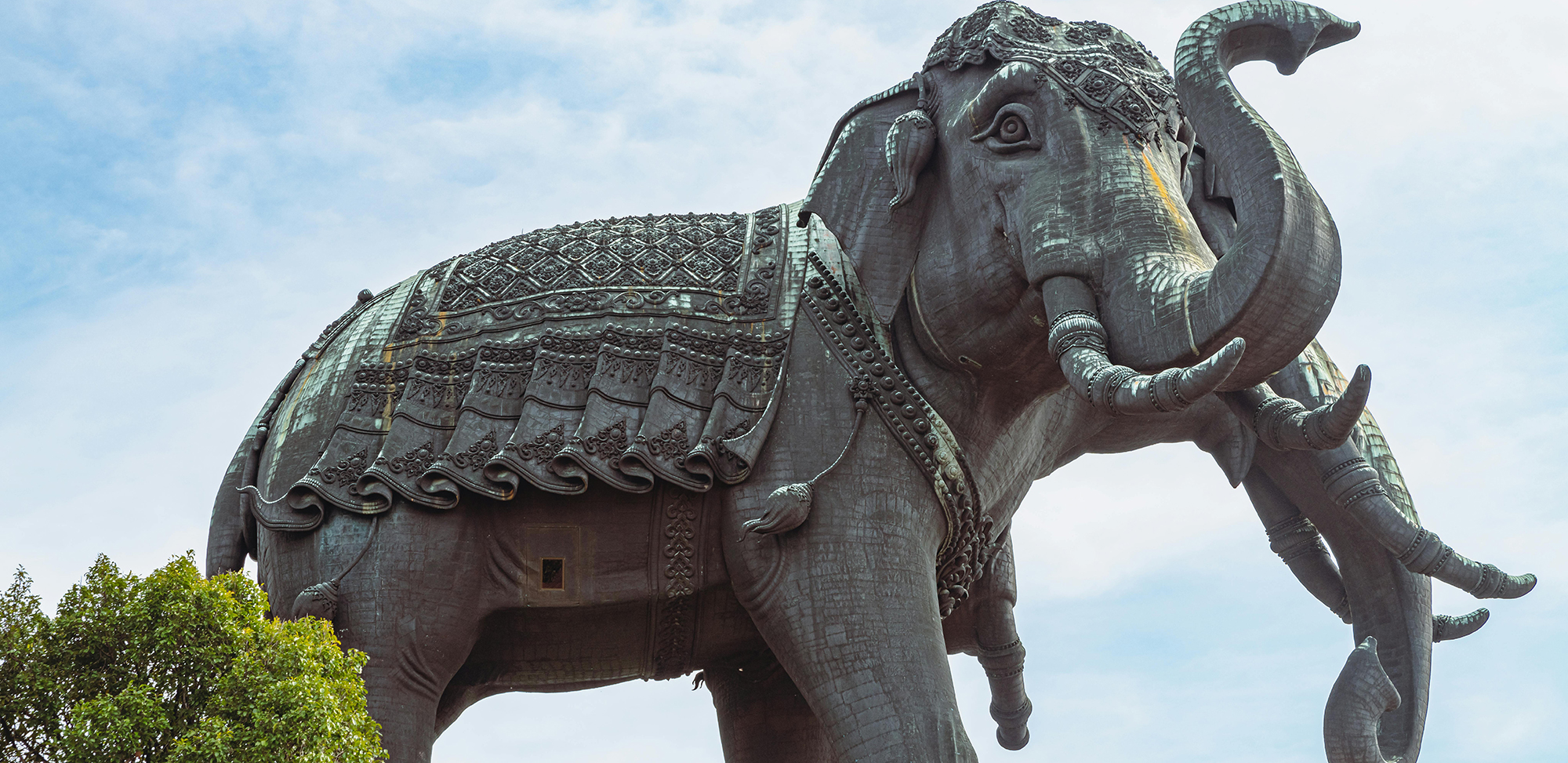 TC war elephants ancient history - Southern Cross University