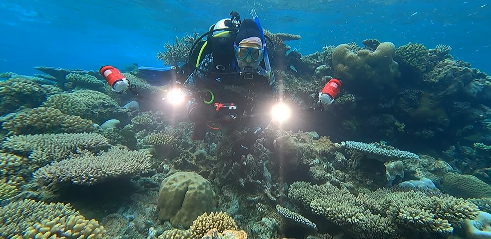 New Documentary Reveals Sound Solution for Ailing Coral Reefs | Mirage News