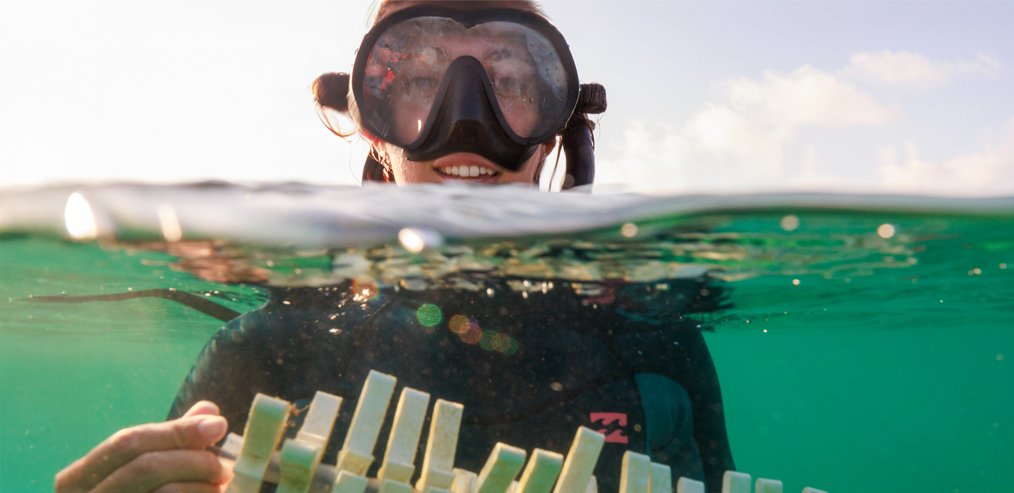 PhD Graduands Helping Solve Reef's Challenges With Leading Coral ...