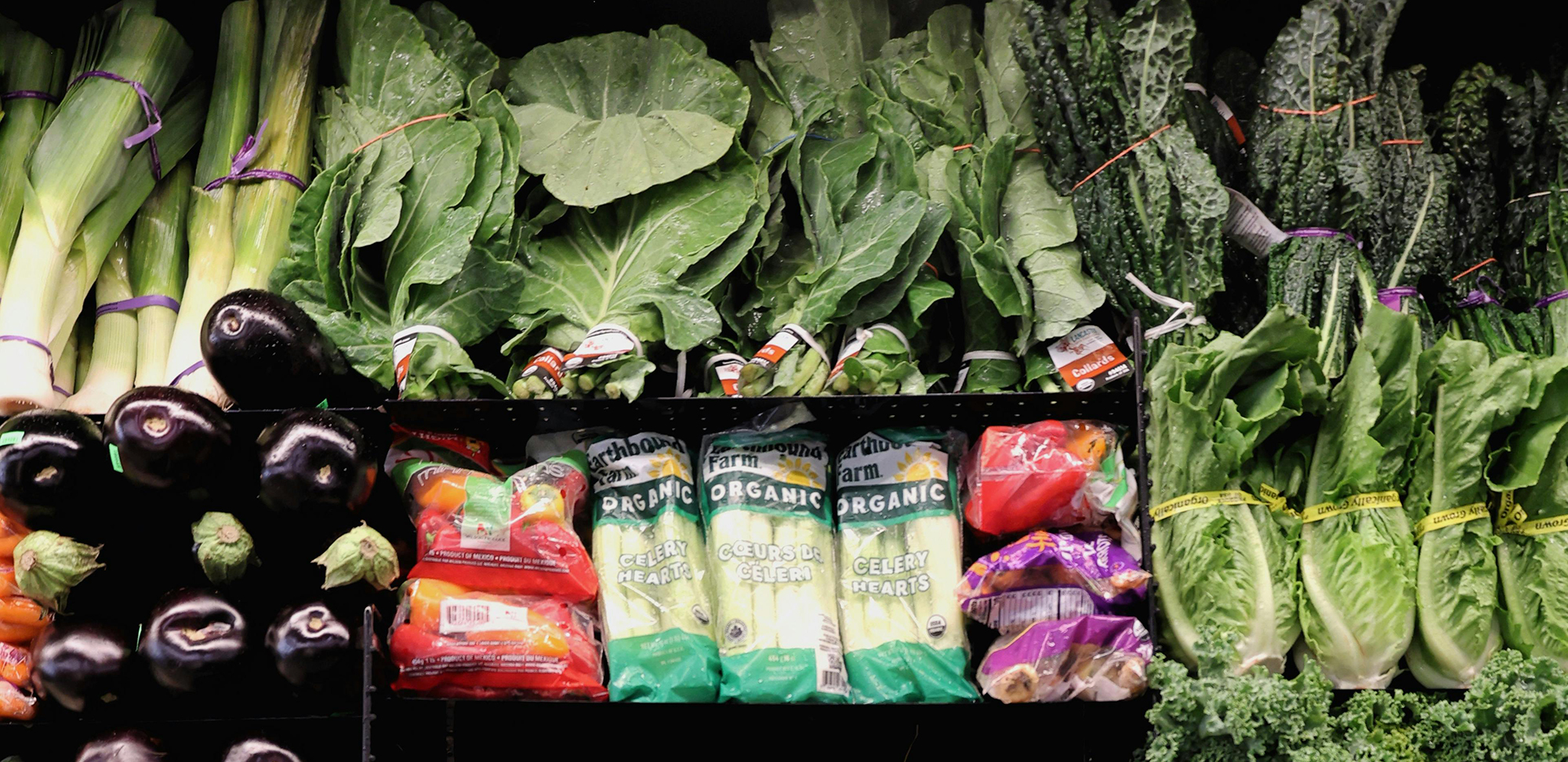 Southern Cross Leads Organic Horticulture Research Strategy | Mirage News