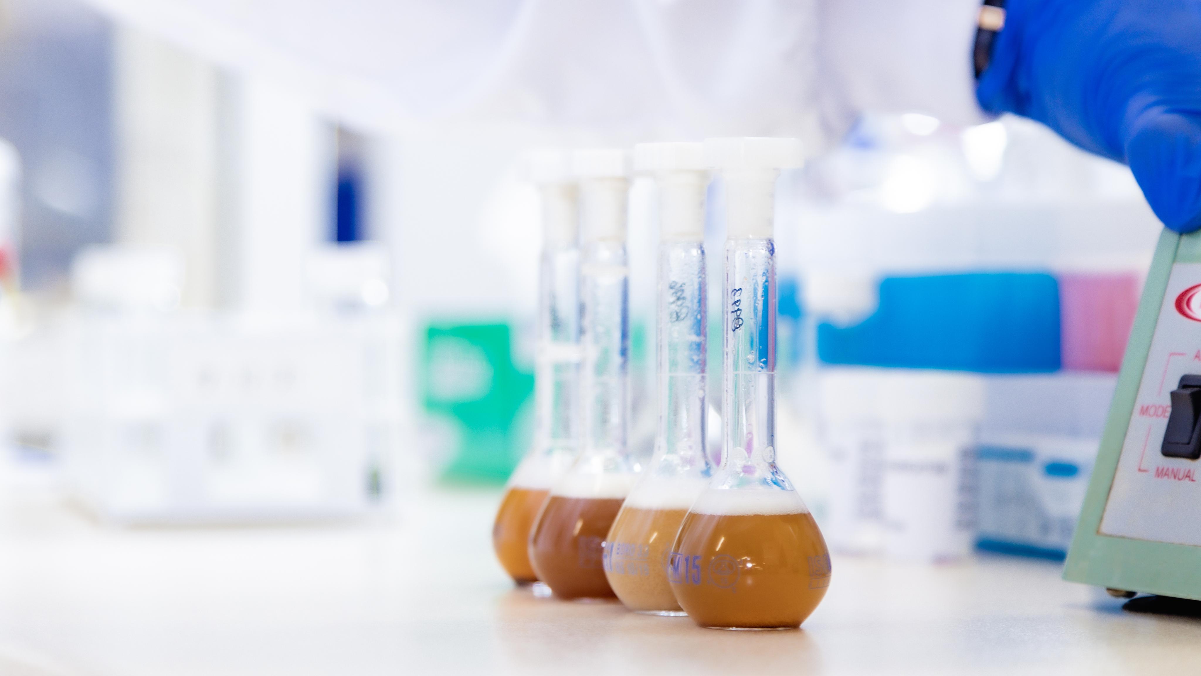 Analytical Research Laboratory - ARL - Southern Cross University