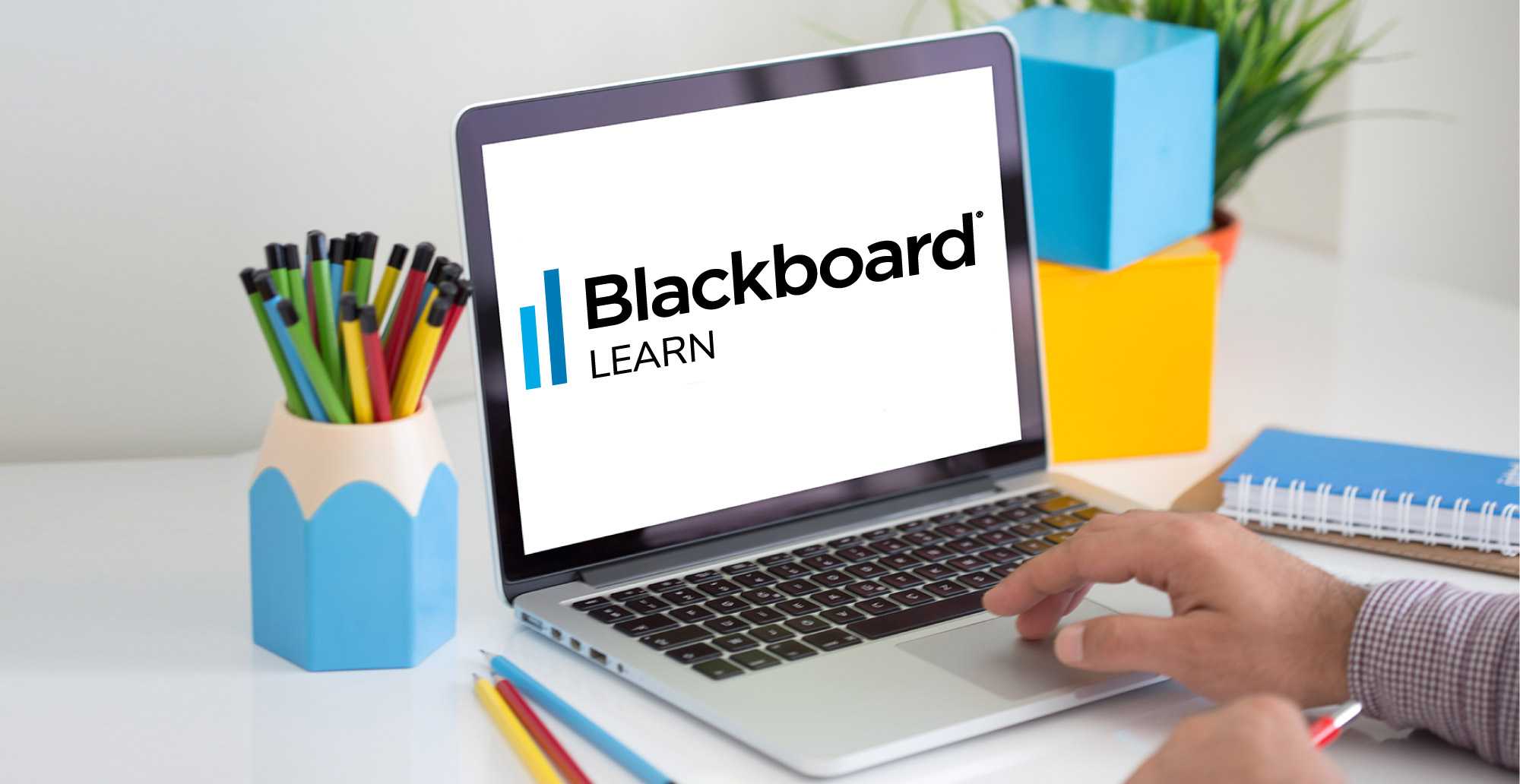 Friday Free-for-all sessions - Southern Cross University